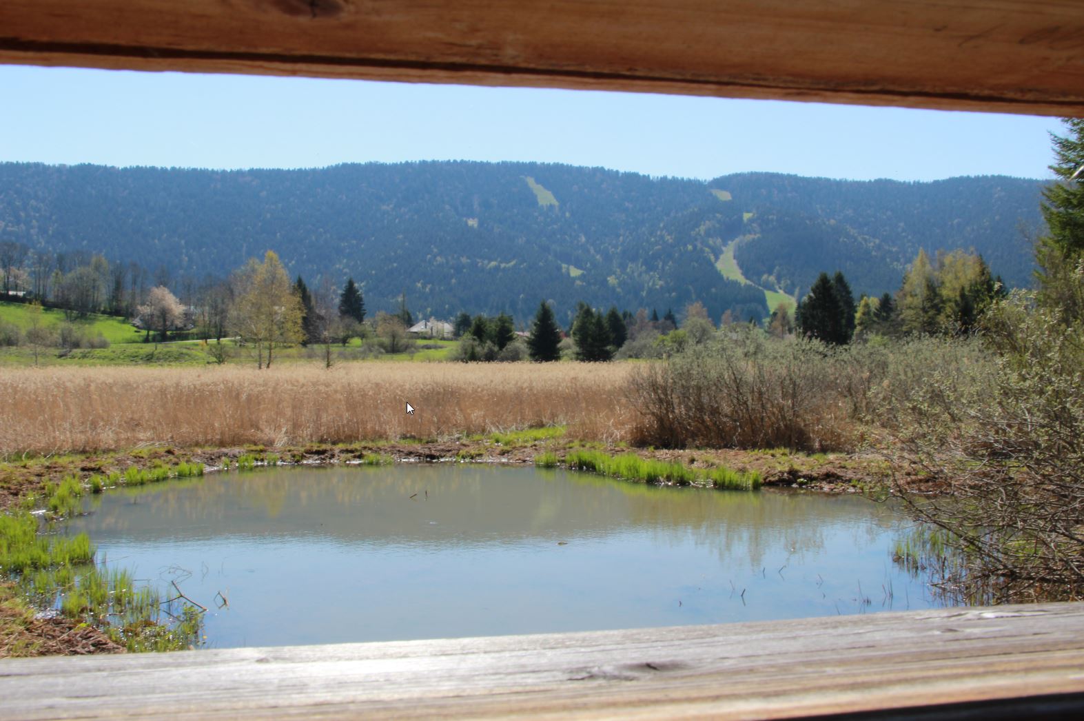 We have tested for you the swamp of « Le Sappey en Chartreuse