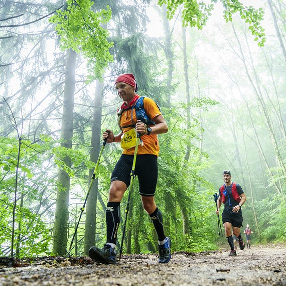 Ut4M Ultratour des 4 massifs : UT4M parcours et dénivelé