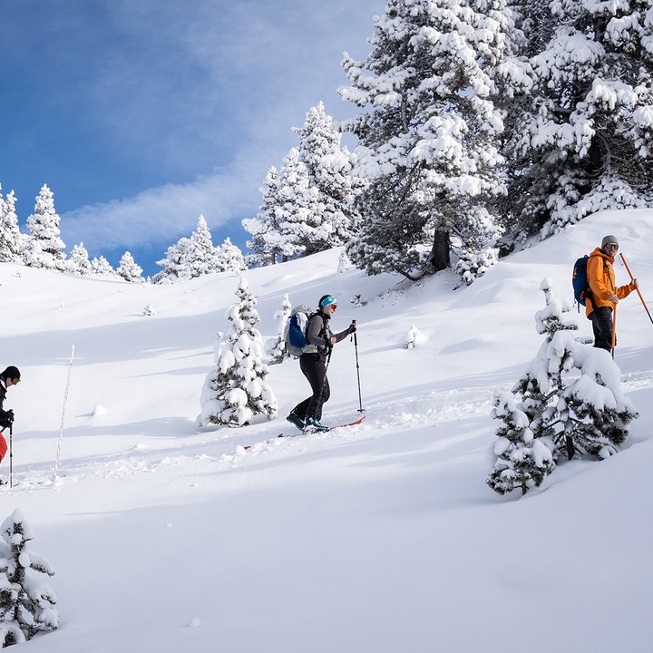 10 UNMISSABLE EXPERIENCES IN THE SPRING IN GRENOBLE ALPES