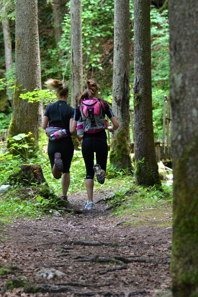 Le Grand Rocher - Grenoble France
