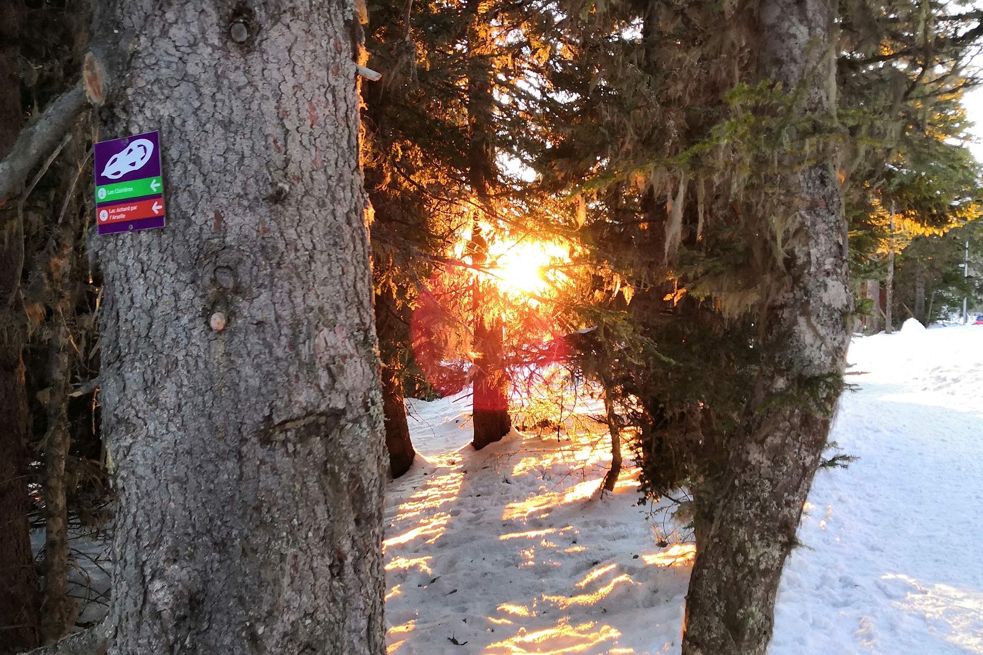 Snowshoe itinerary: Lac Achard via Clairières - Grenoble France