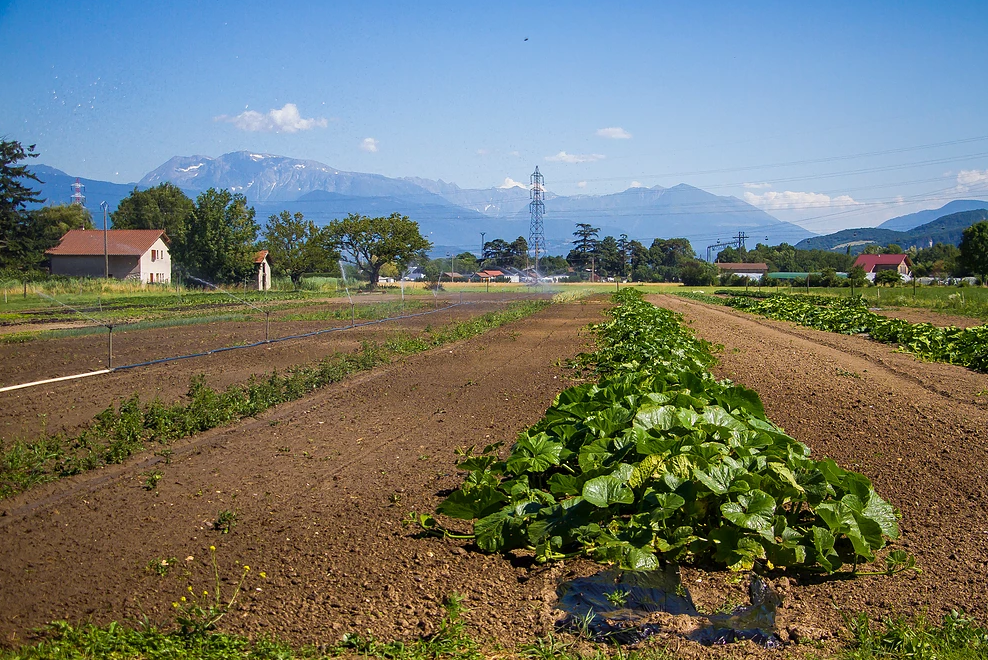 Le Lopin d'Terre - Grenoble France