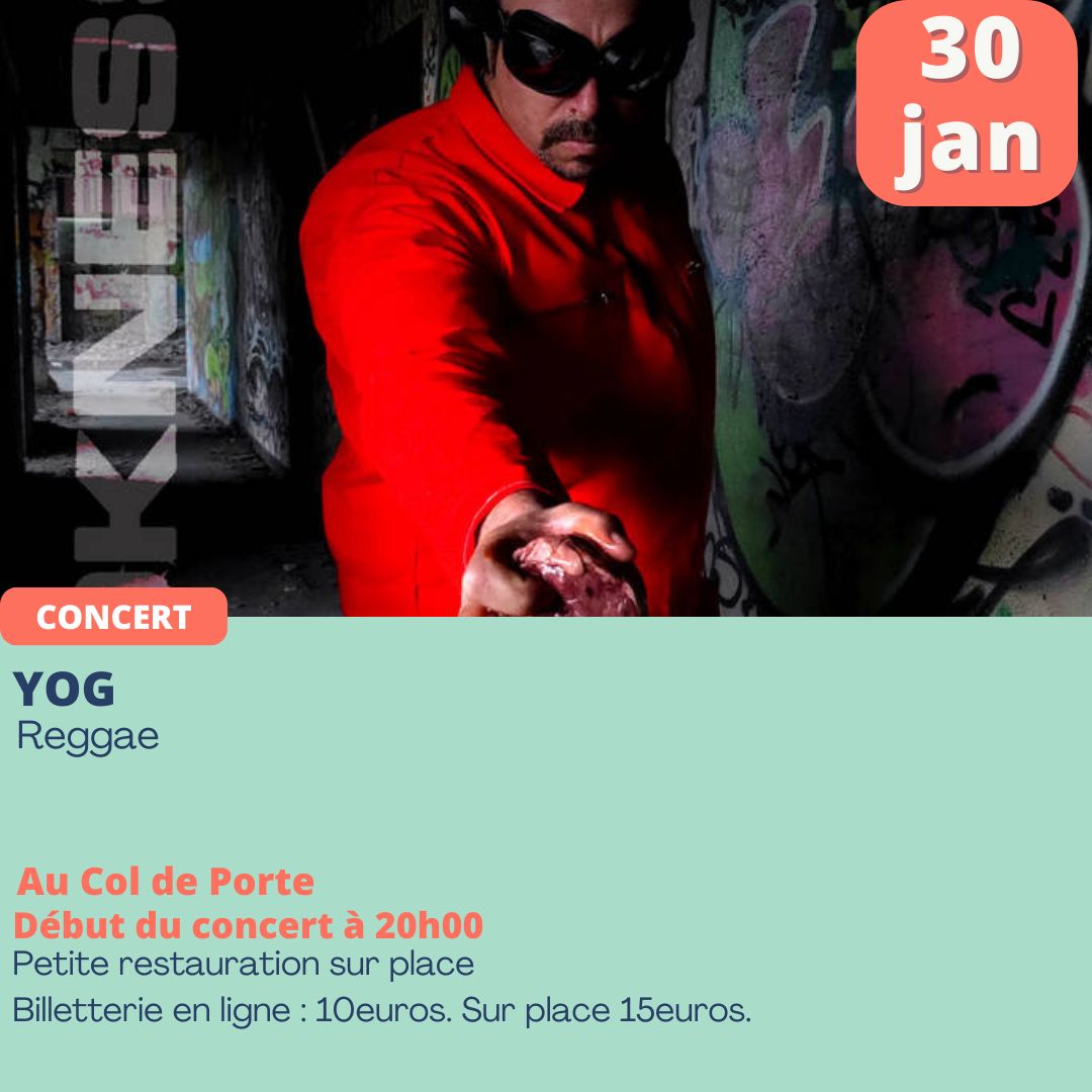 Soirée Groove et Reggae avec YOG - Grenoble France